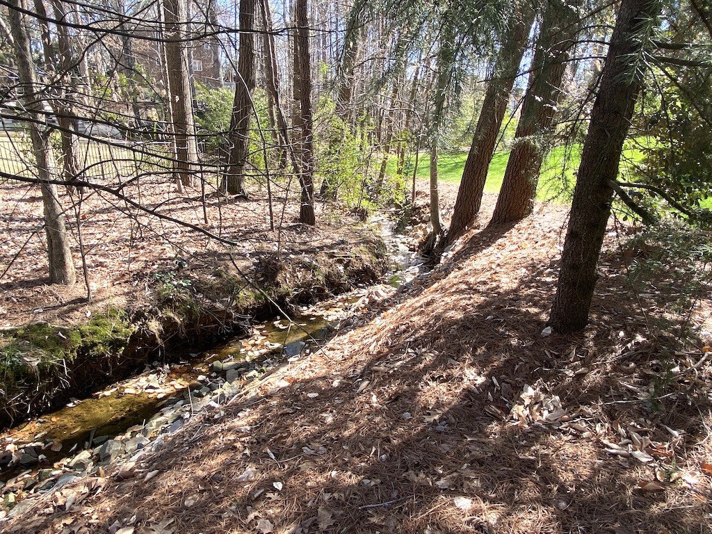 Riparian Buffer Has Many Benefits - Honest Abe Log Homes & Cabins